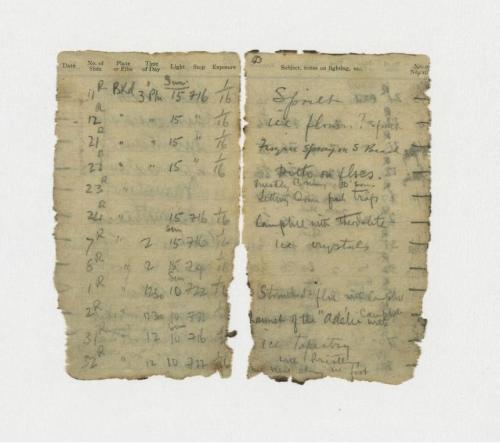 Hallan diario atrapado en el hielo de explorador de la Antártida