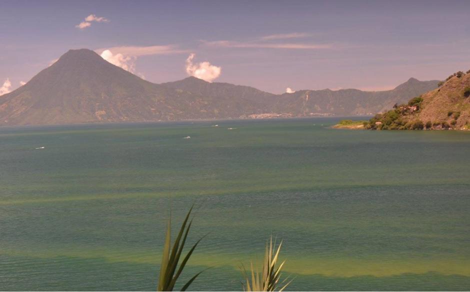 Reaparece la cianobacteria que afecta al Lago de Atitlán