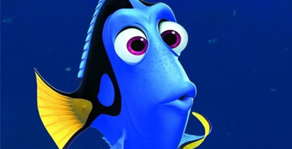 Conoce a la "Dory" de la vida real, un pez en (verdadero) peligro