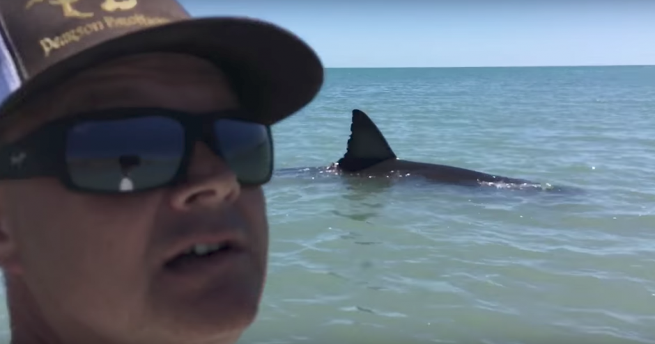 Encuentran un enorme tiburón en una playa de Baja California