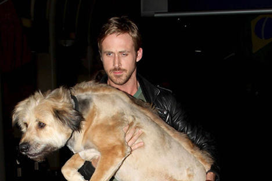 Ryan Gosling rinde un conmovedor homenaje a su perrito