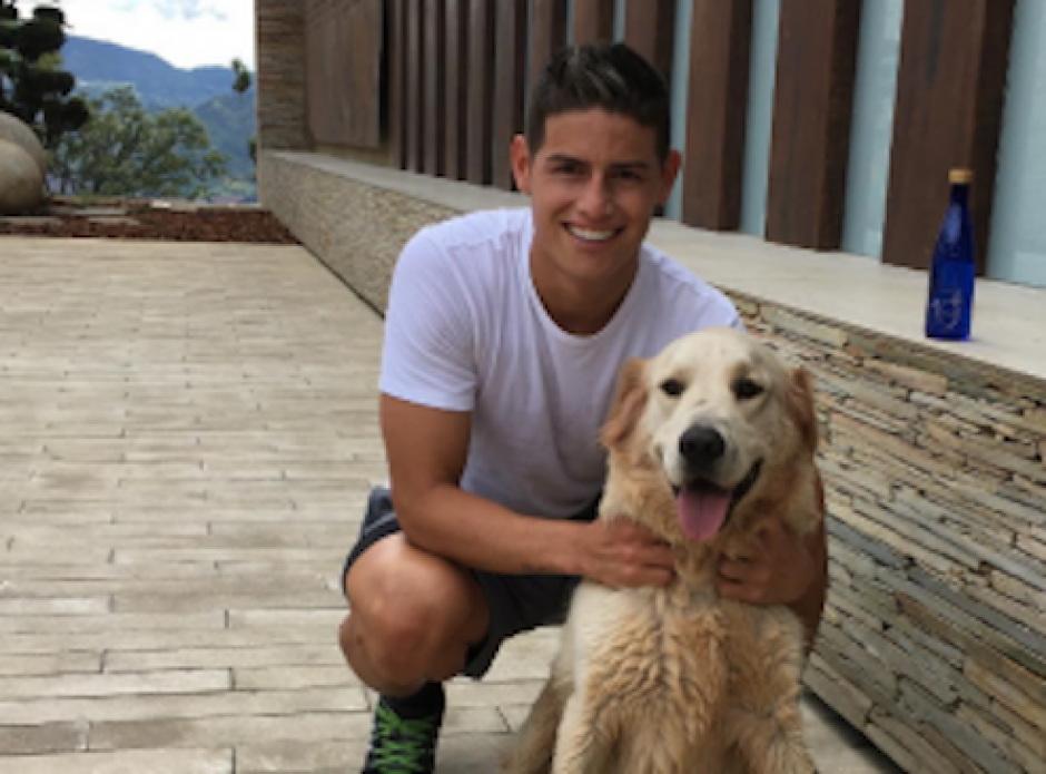 La mascota de James Rodríguez conquista a miles por su amor al fútbol