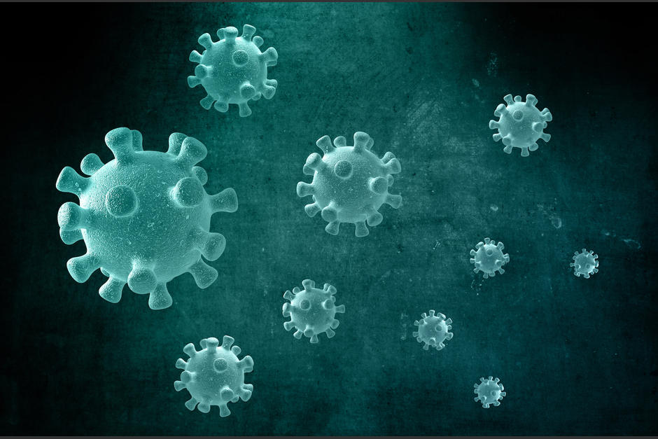 Estudio revela que la inmunidad contra el Covid dura ocho meses