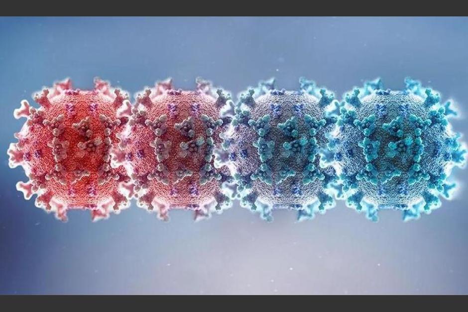 Seis variantes del Covid-19 muestran evolución