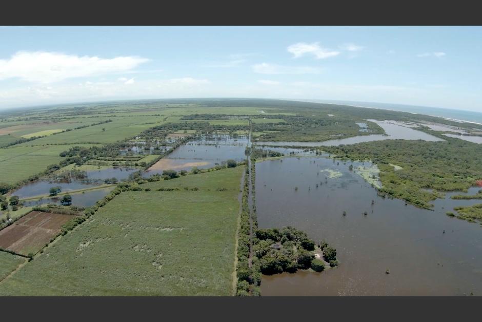Manglar en riesgo por erupción del volcán de Fuego