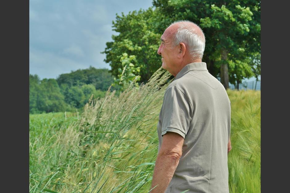 8 claves para distinguir el envejecimiento normal del alzhéimer