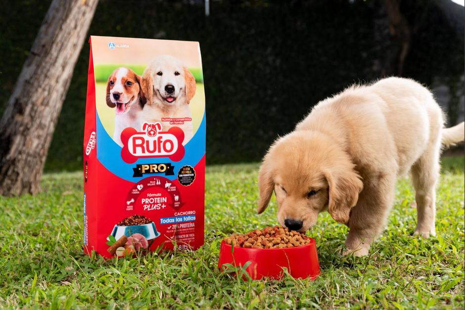 Presentan el nuevo Rufo PRO, con la fórmula Protein Plus+