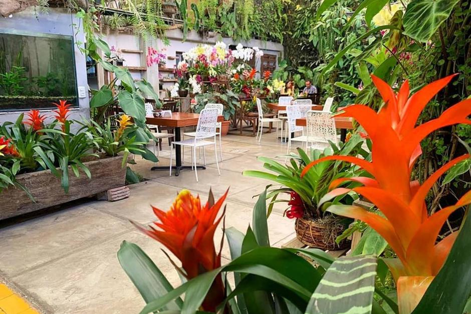 Café Mimi, la cafetería dentro de un vivero de orquídeas