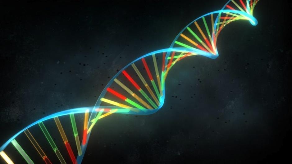 El ADN podría contener nuestra expectativa de vida