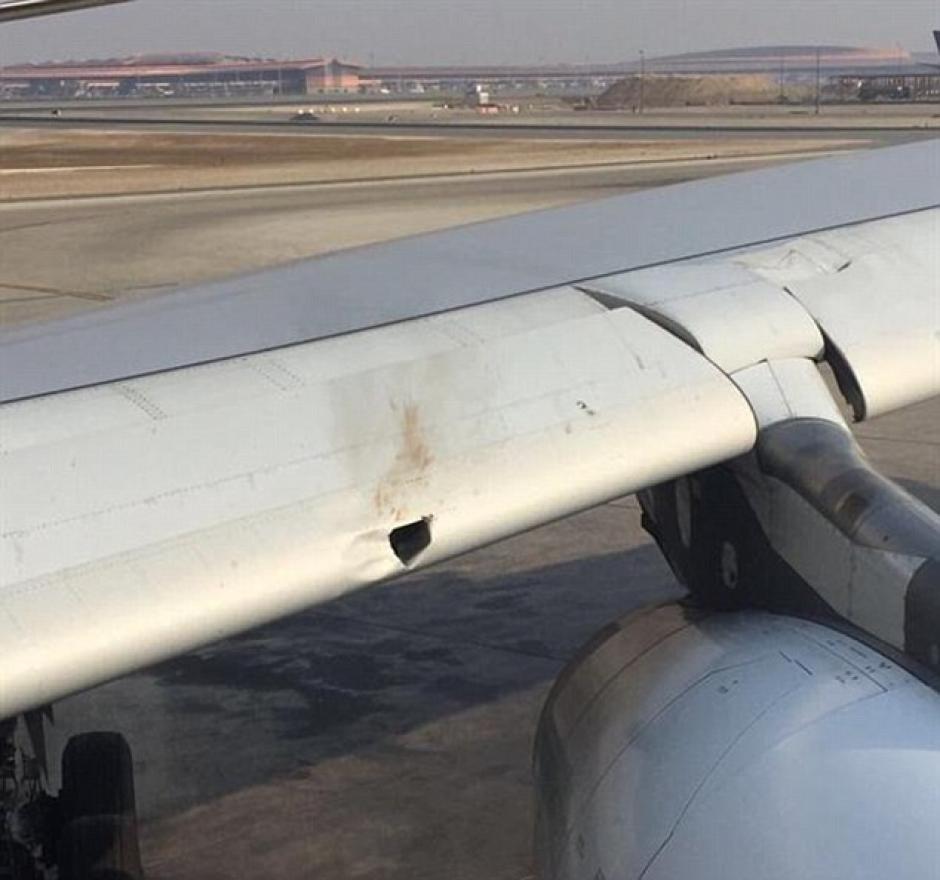 Un águila impacta contra un avión en pleno vuelo y le abre un agujero