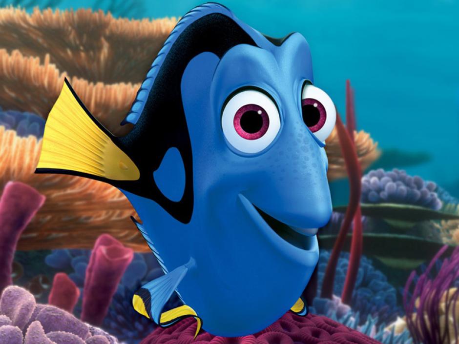 Conoce a la "Dory" de la vida real, un pez en (verdadero) peligro