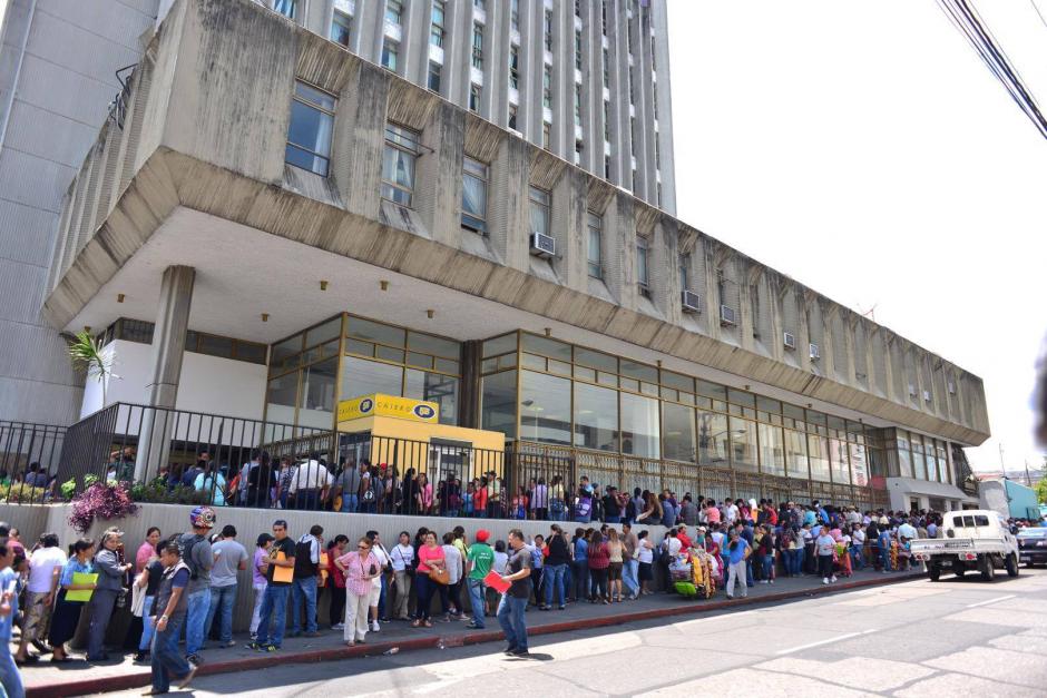 Conap otorga una prórroga para el registro de animales exóticos