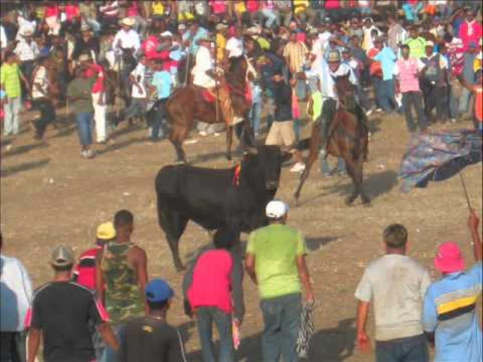 Muerte a golpes de un toro causa polémica en Colombia