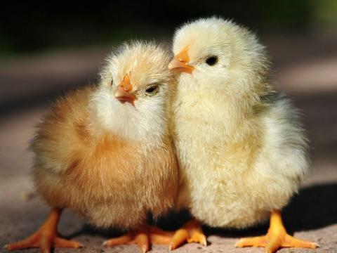 Soy502 | Tu espacio de información